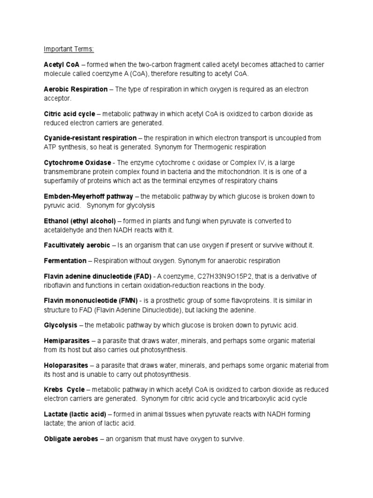 Bot HW Chapter 5 | PDF | Cellular Respiration | Adenosine Triphosphate