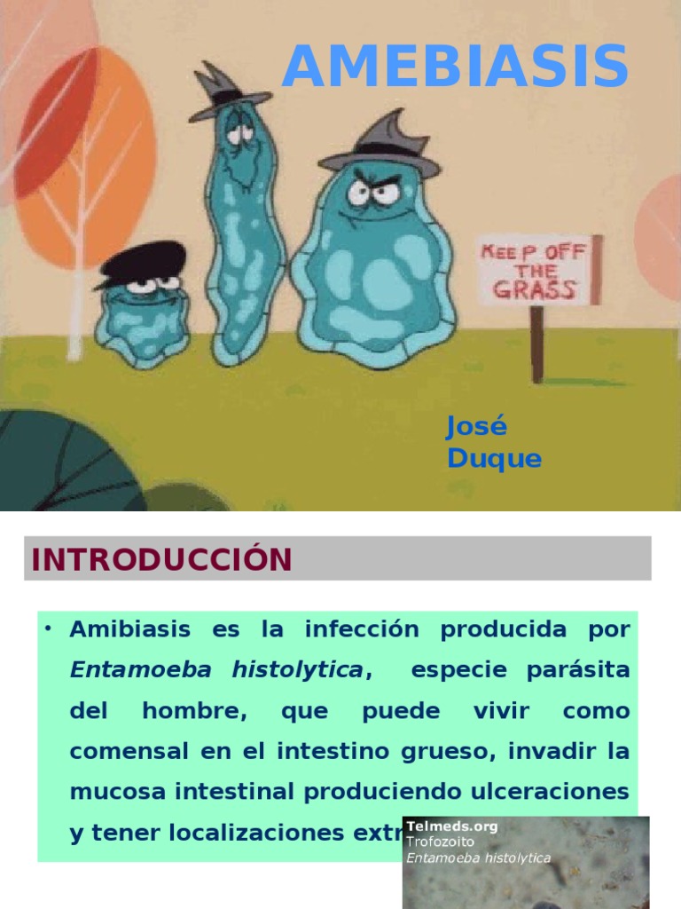 amebiasis1 | Epidemiología | Enfermedades y trastornos