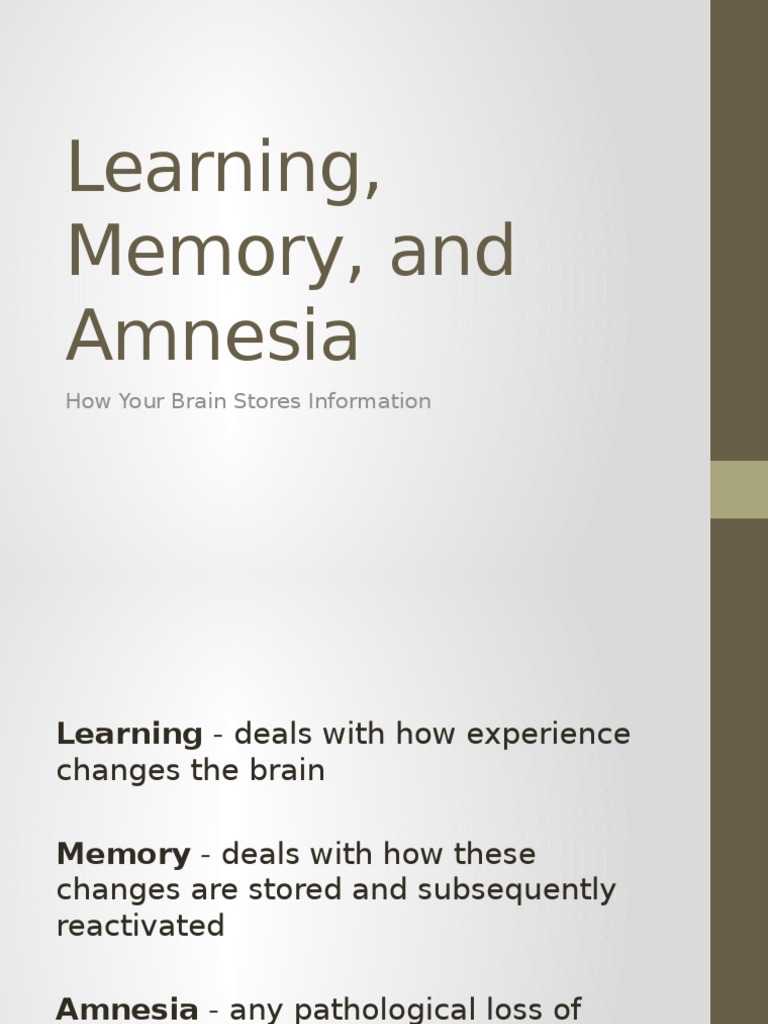 Learning, Memory, And Amnesia | Amnesia | Memory