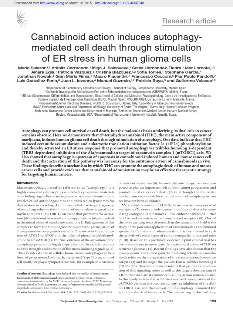 Cannabinoid Action On Cancer | PDF | Autophagy | Protein Kinase B