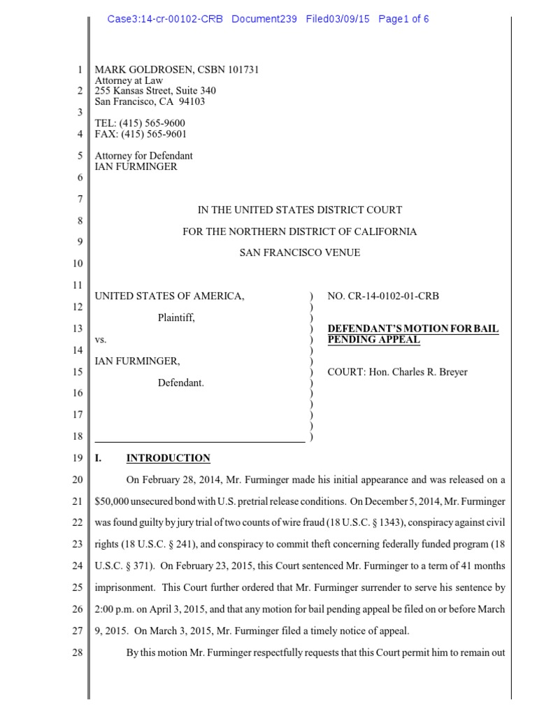 Furminger Motion for Bail Pending Appeal | Bail | Evidence