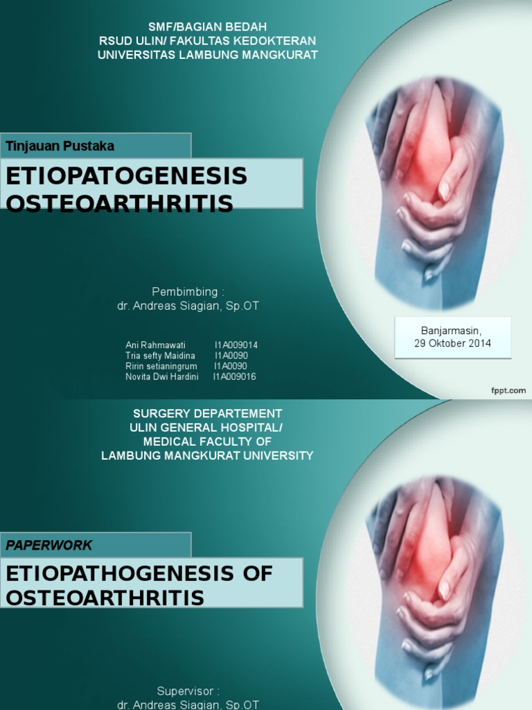 Osteoarthritis Etiopathogenesis Review | PDF