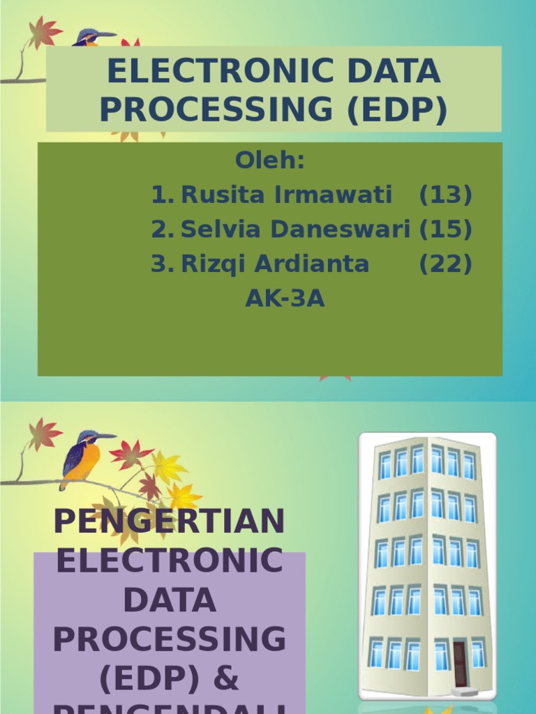 Teknik Audit Electronic Data Processing (Edp) | PDF
