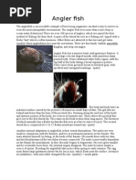 ANSCI2 (Common Terminologies in Animal Science) | PDF | Sheep | Mare