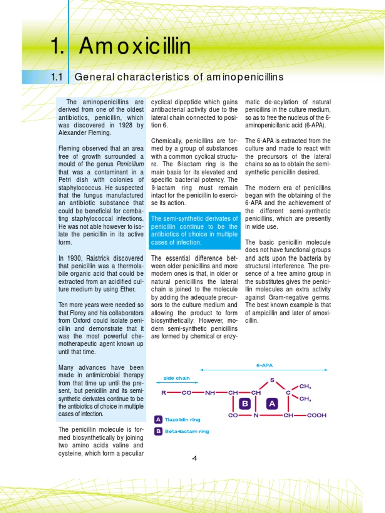 Amoxicillin PDF | PDF | Penicillin | Antibiotics