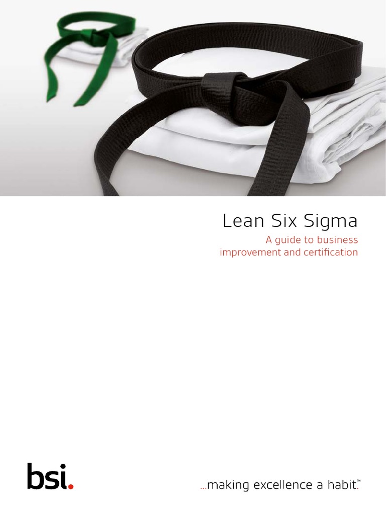 Six Sigma BSI Training Sales Brochure | PDF | Six Sigma | Lean ...