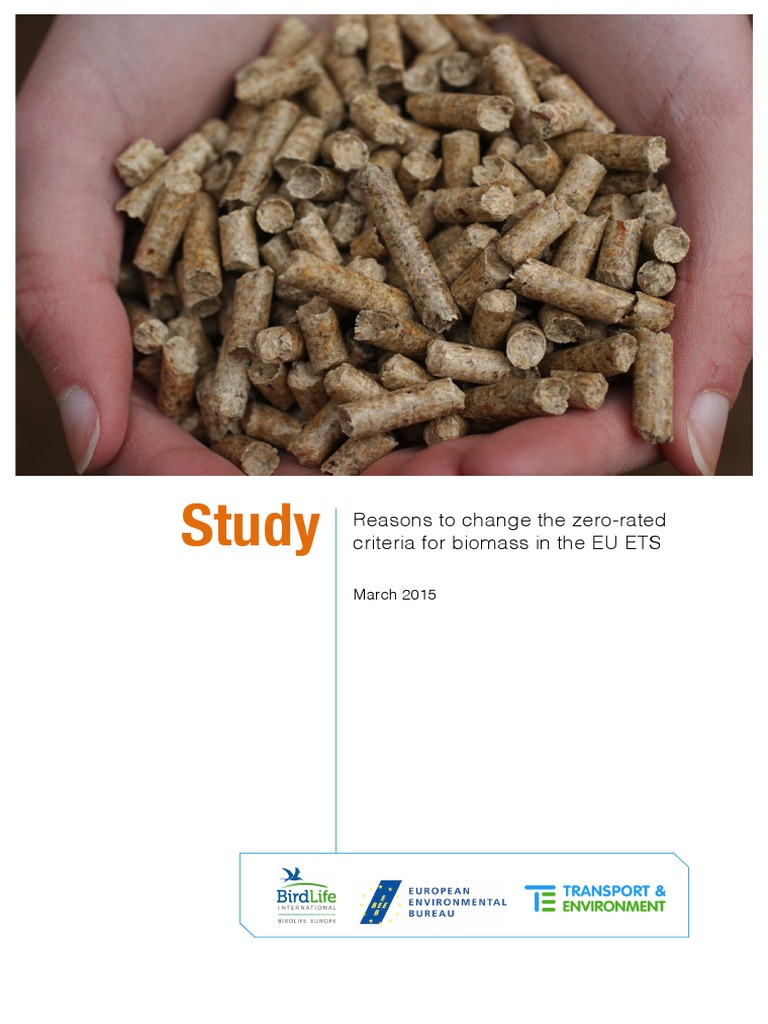 T&E Biomass Report | PDF | Bioenergy | Power Resources