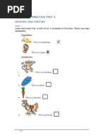 Yle Starters Sample Papers Vol 1 | PDF