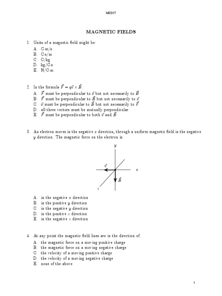 Magnetic Fields | PDF | Magnetic Field | Electron