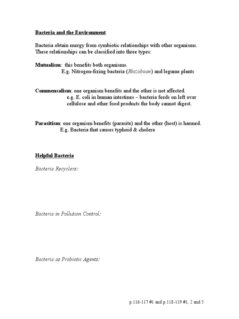 Bacteria's Environmental Roles | PDF | Science & Mathematics
