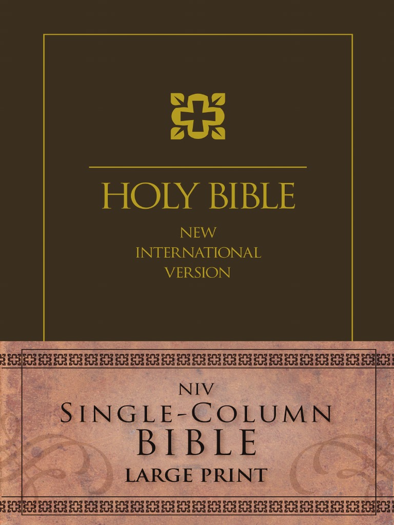 NIV Single-Column Bible, Large Print Sampler | PDF | John The Baptist ...