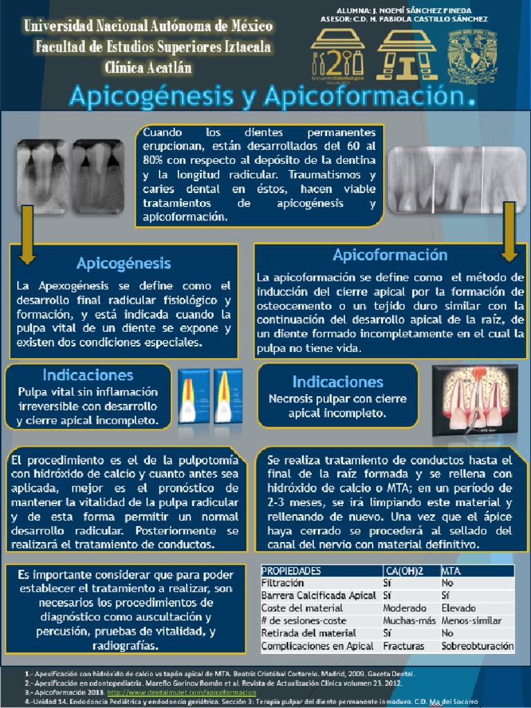 Cartel Apicogénesis y Apicoformación. | PDF