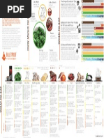 Vocabulary From Classical Roots | PDF