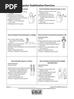 Y-W-T Scapular Exercises | PDF