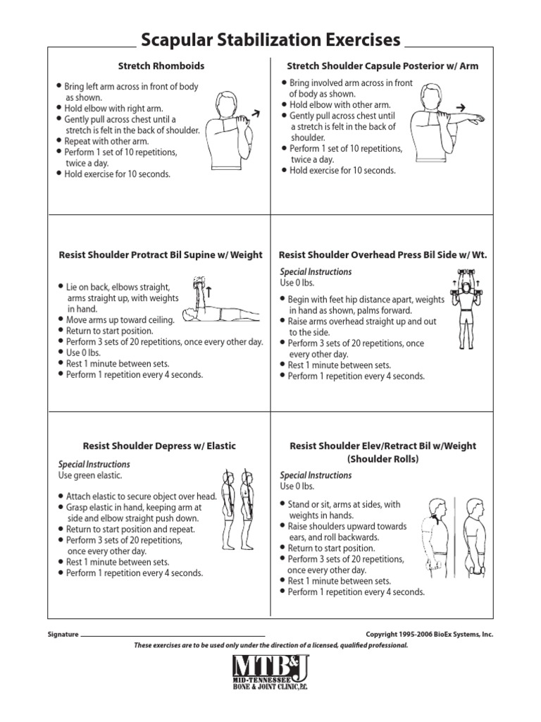 Shoulder | PDF