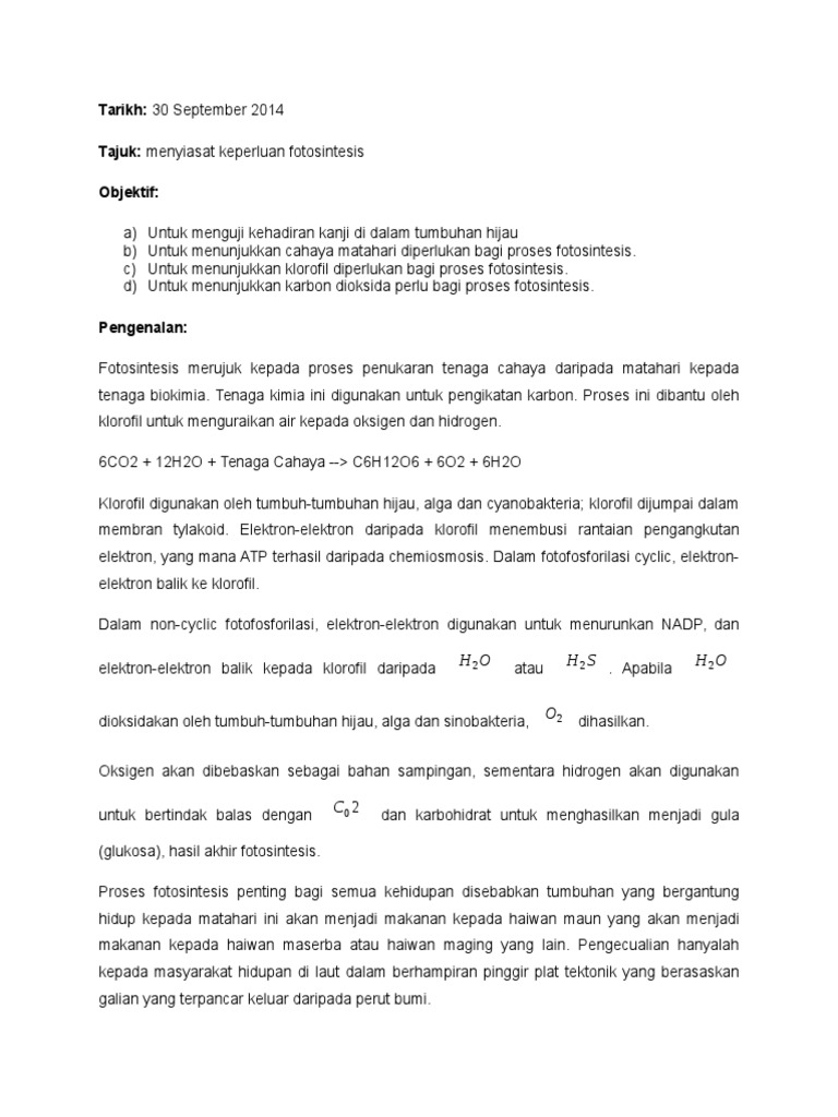 Amali 6 Bio | PDF