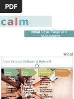 CASII Assessment Worksheet Guide | PDF | Psychological Resilience | Risk