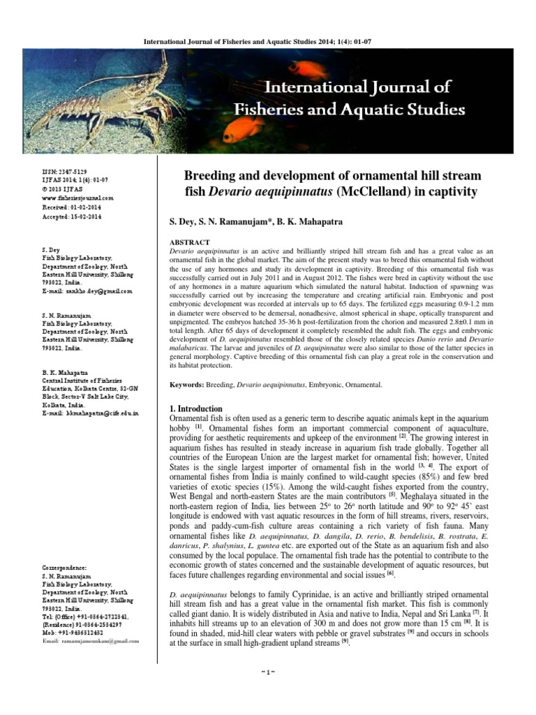 Breeding and Development of Ornamental Hill Stream Fish Devario ...