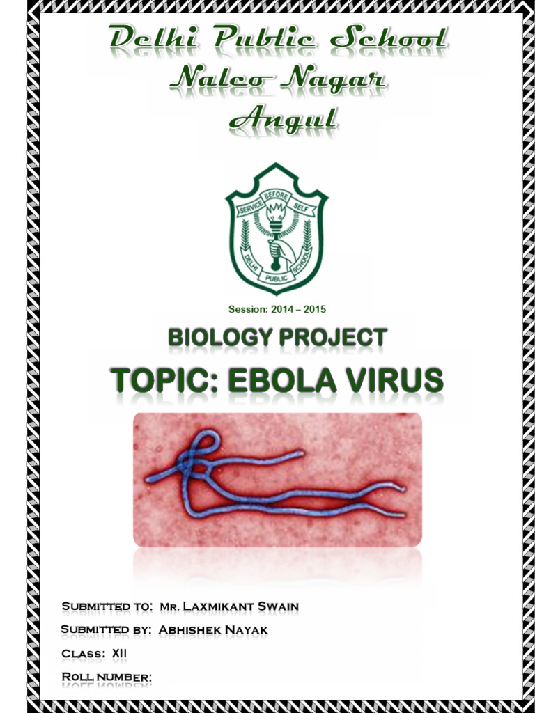 Biology Ebola Virus Project Report | PDF | Ebola Virus Disease ...