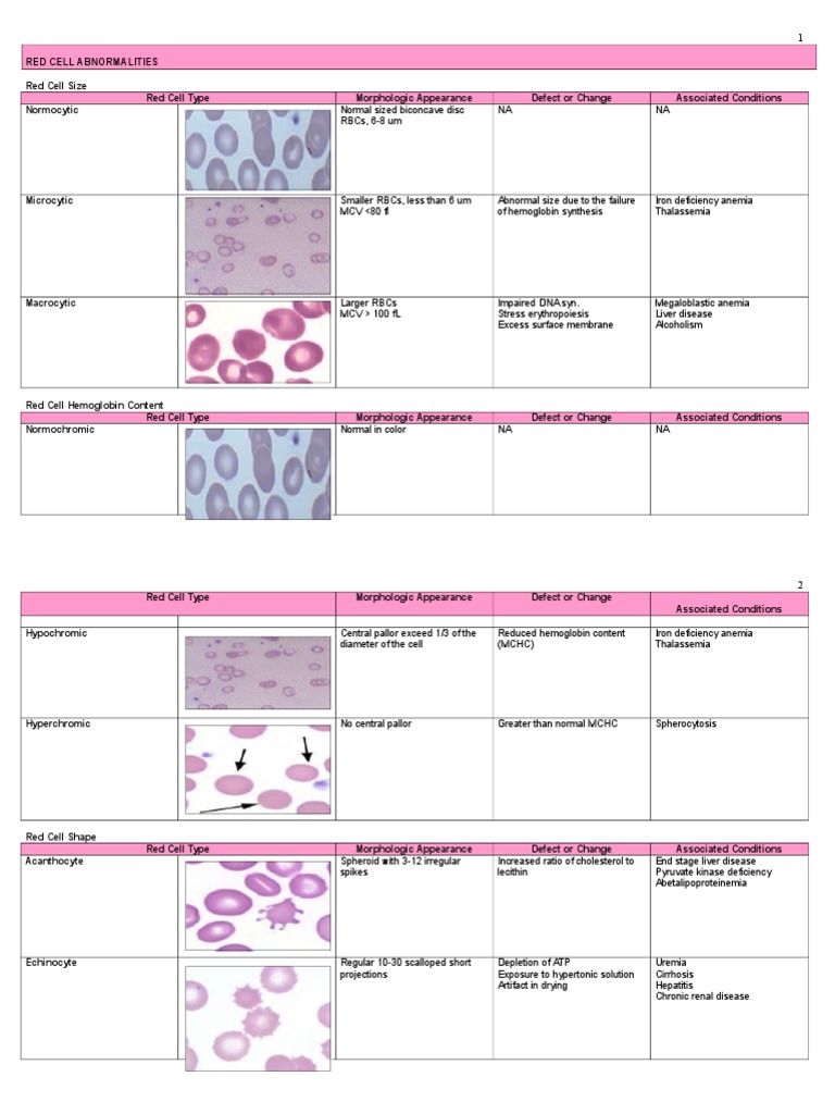RBC&WBC Abnormalities | Red Blood Cell | Anemia