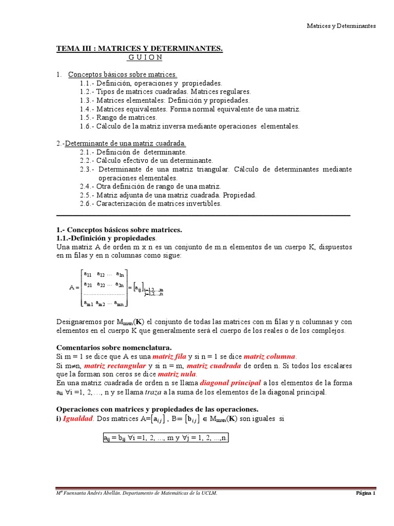 Matrices Regulares y sus Propiedades | PDF | Determinante | Matriz ...