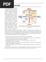 Diagrama de Nolan: Ideologías Políticas | PDF | Ciencias Políticas ...