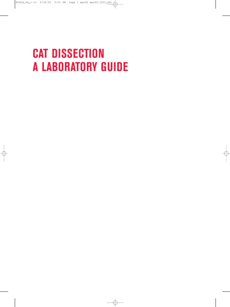Cat Dissection Guide | PDF | Aorta | Common Carotid Artery