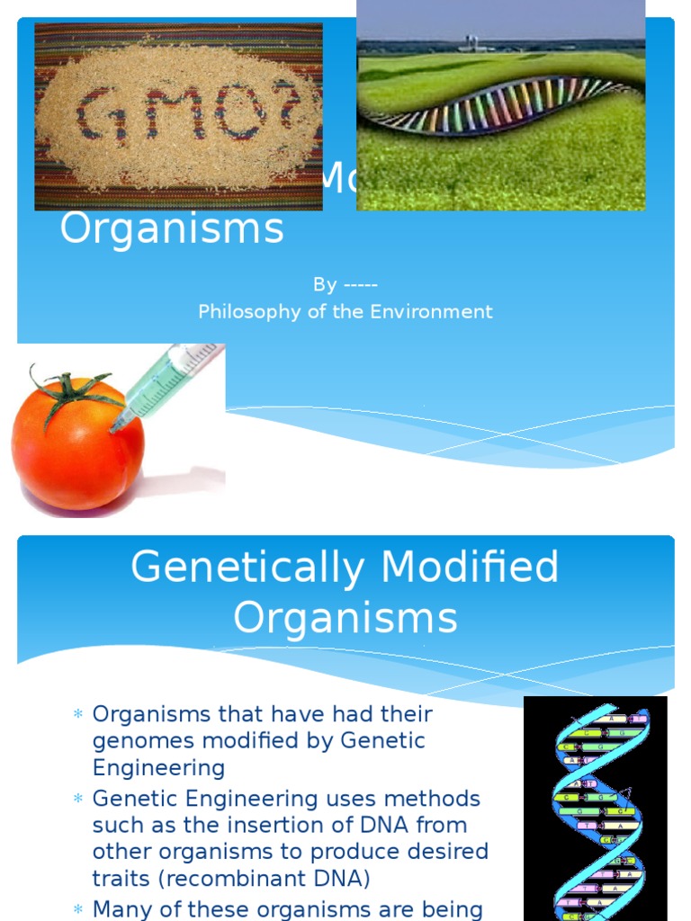 Genetically Modified Organisms | PDF | Genetically Modified Food ...