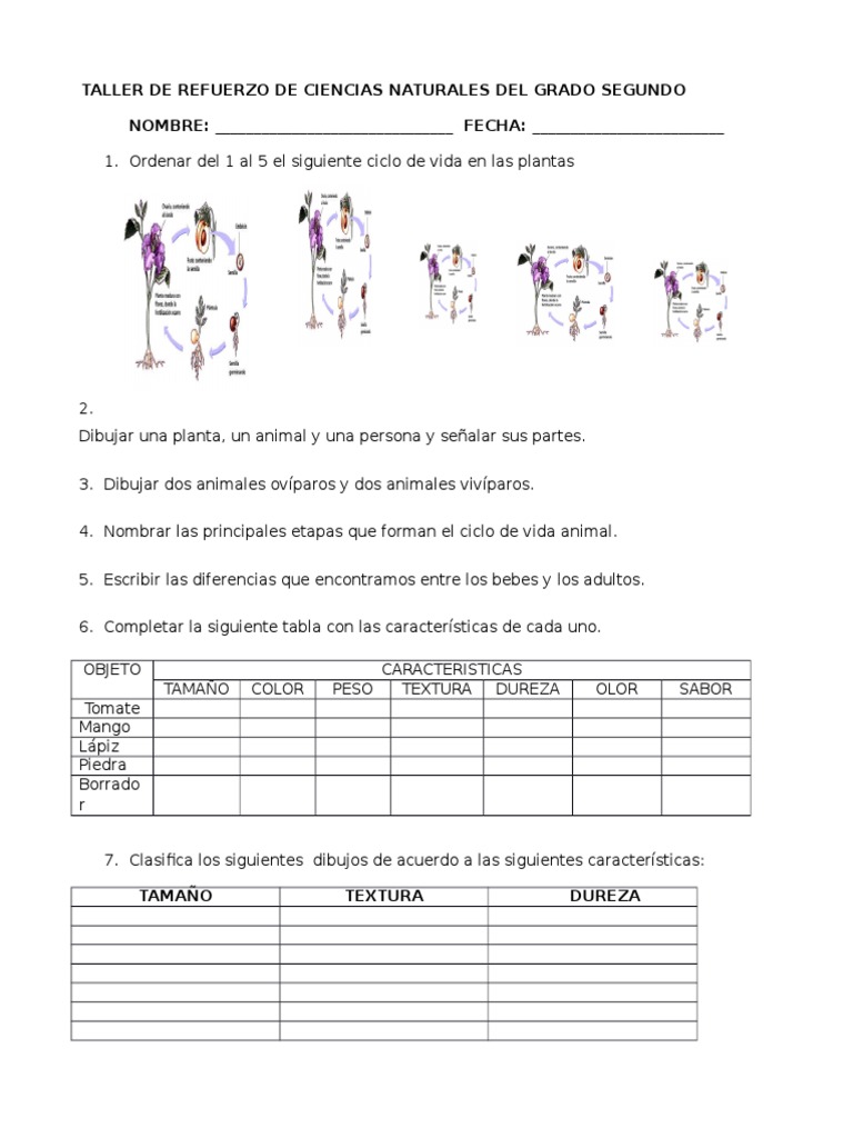 Taller de Refuerzo General Ciencias Del Grado Segundo | PDF | Sonido ...