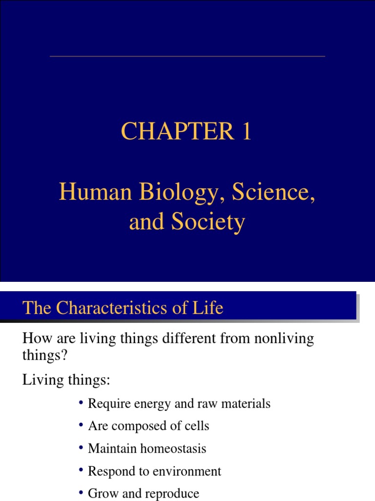 Human Biology Chapter 1 Powerpoint | PDF | Homeostasis | Perspiration