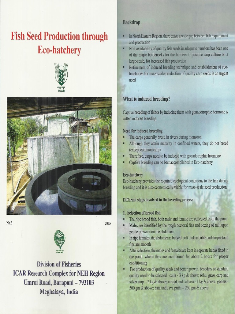 Fish Seed Production Through Eco-Hatchery | PDF