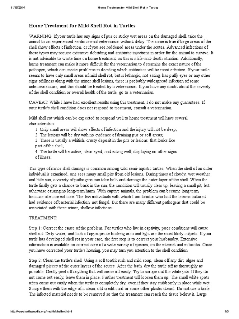 Home Treatment For Mild Shell Rot in Turtles | PDF | Turtle | Medicine