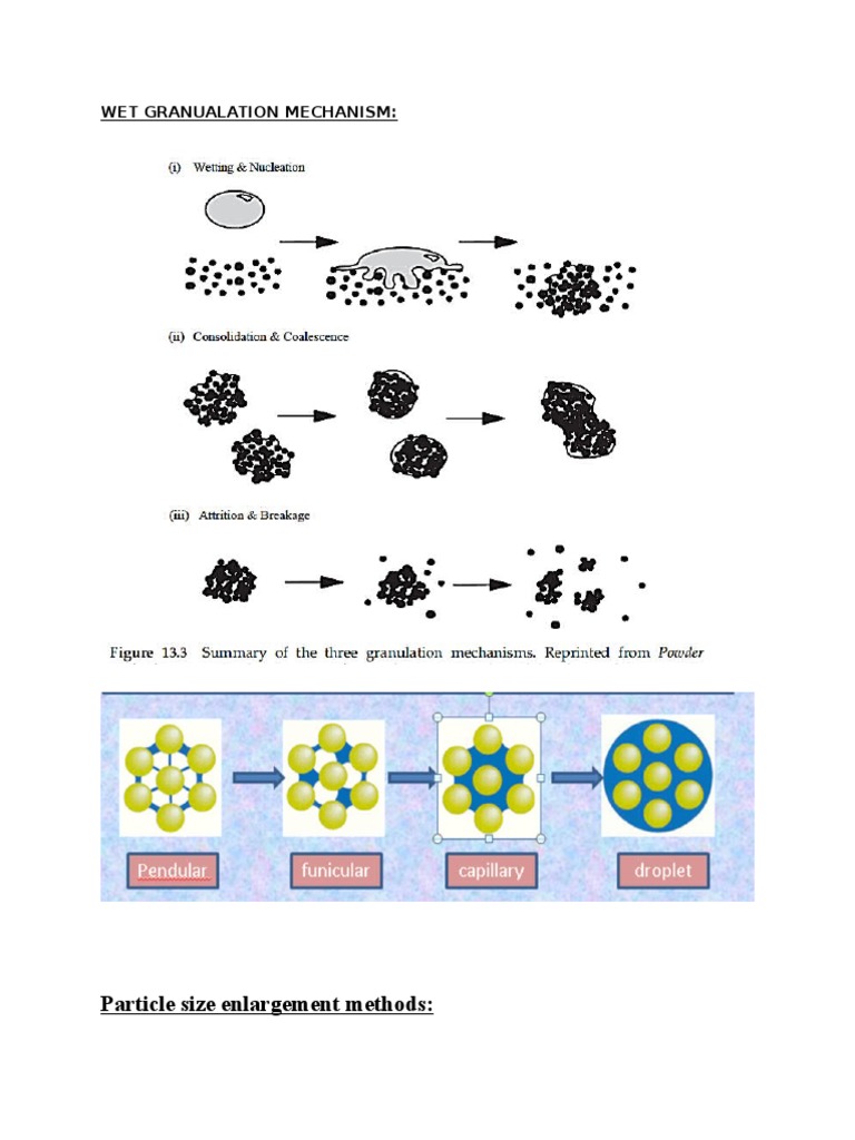 Particle Size Enlargement | PDF | Tablet (Pharmacy) | Materials