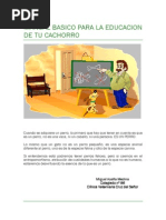 Morfología del perro: Graioides y Occipucio | PDF | Diente | Pastor alemán