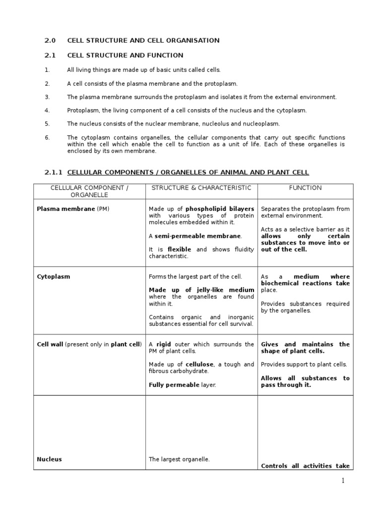 Nota Biologi Tingkatan 4 BAB 2 | PDF | Endoplasmic Reticulum | Tissue ...