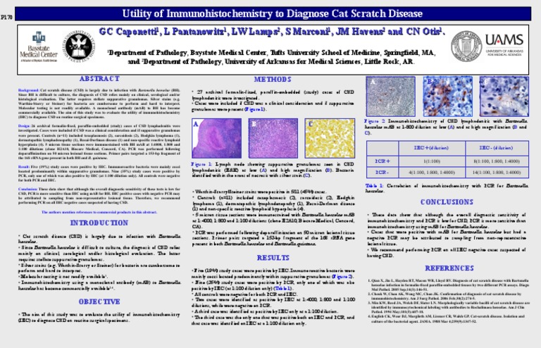 Gabriel Caponetti Et Al. - Utility of Immunohistochemistry To Diagnose ...