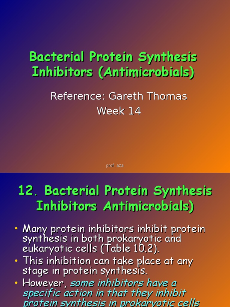 Bacterial Protein Synthesis Inhibitor | Download Free PDF | Ribosome ...