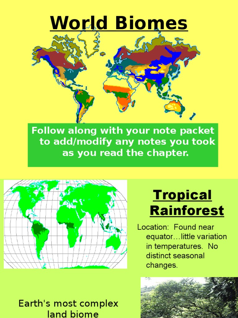 Biome Presentation 6th Grade | PDF | Rainforest | Forests