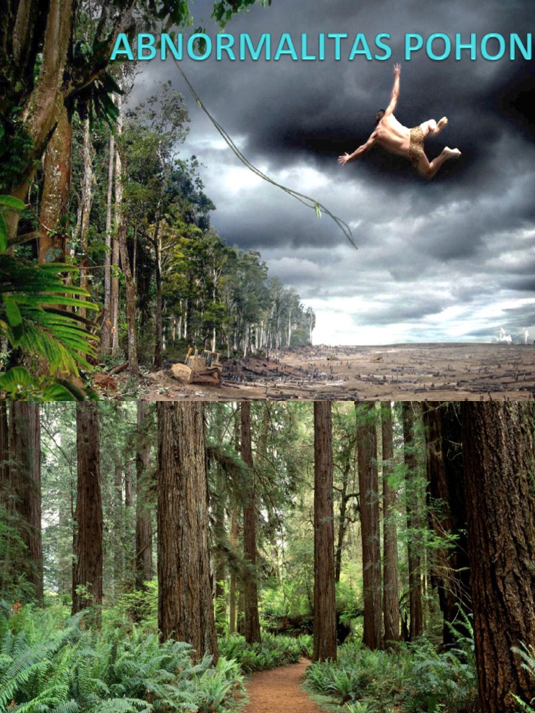 Abnormalitas Pohon | PDF