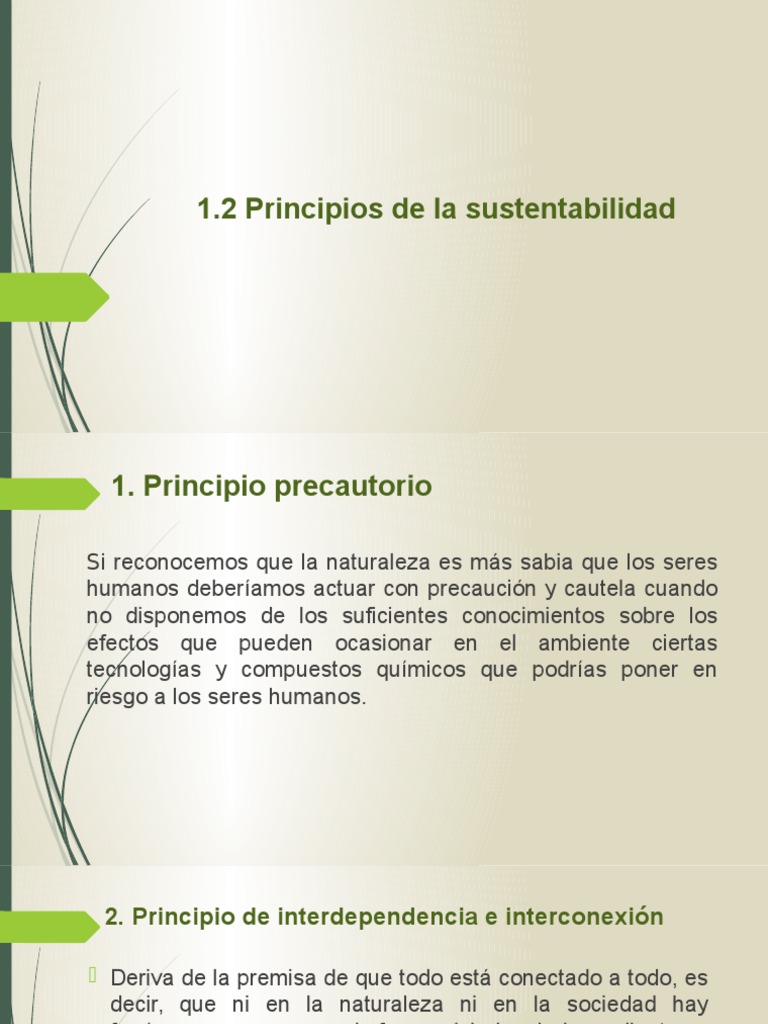 1.2 Principios de La Sustentabilidad | Desarrollo sostenible | Sustentabilidad