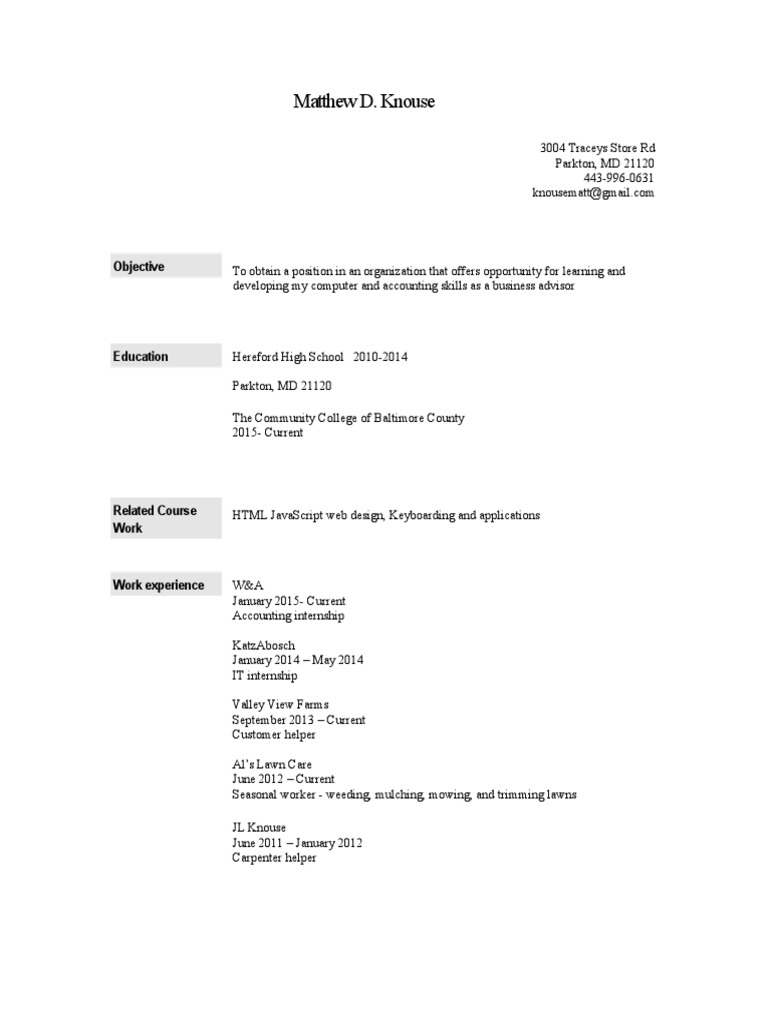 Business Advisor Skills Resume | PDF