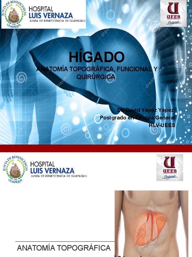Anatomia Quirurgica Del Higado Postgrado Cirugia General HLV DR David ...