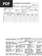 Formato Censo Comunitario PDF | PDF | Salud y bienestar | Medicina