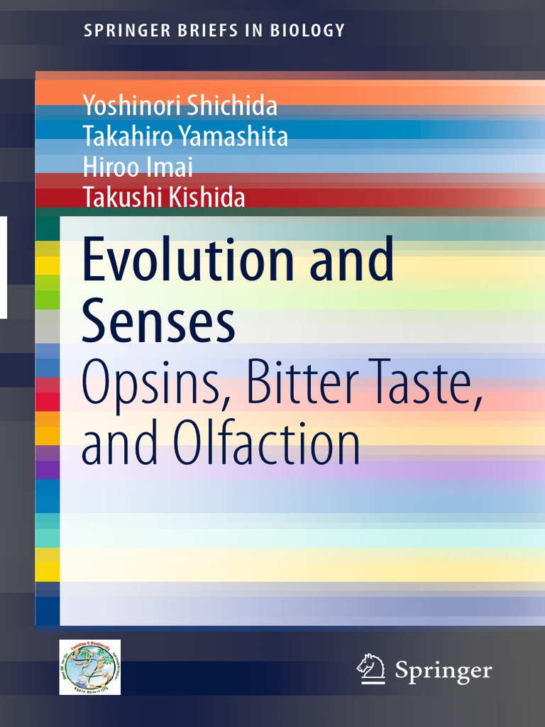 Evolution and Senses | PDF | Retina | Cell Biology