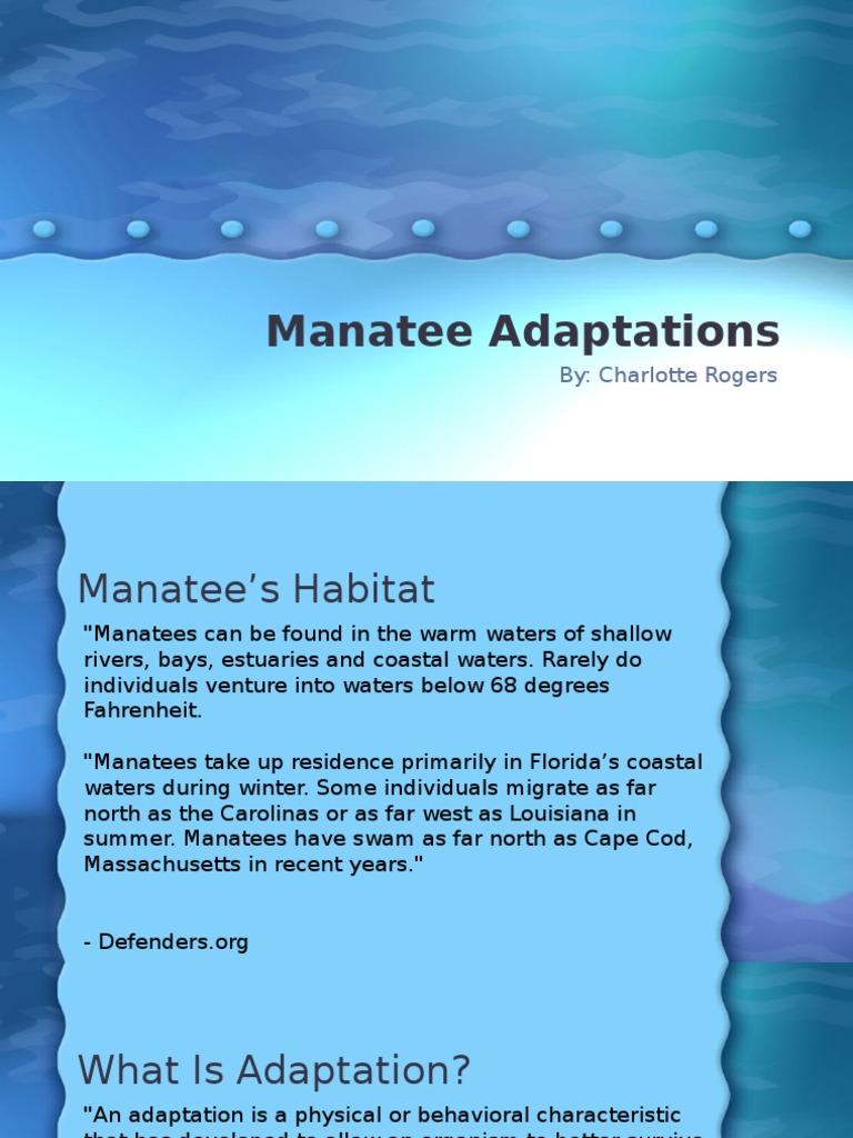 manatee adaptations powerpoint | Adaptation | Nature