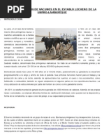 Ciclo de Vida de La Vaca | PDF | Vacas | Leche