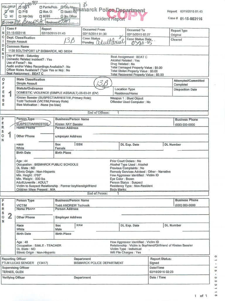 Kirsten Baesler Police Investigation Report | PDF