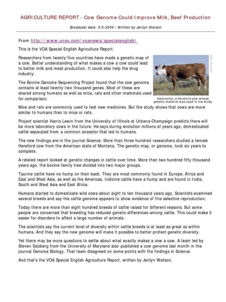 AGRICULTURE REPORT - Cow Genome Could Improve Milk, Beef Production ...