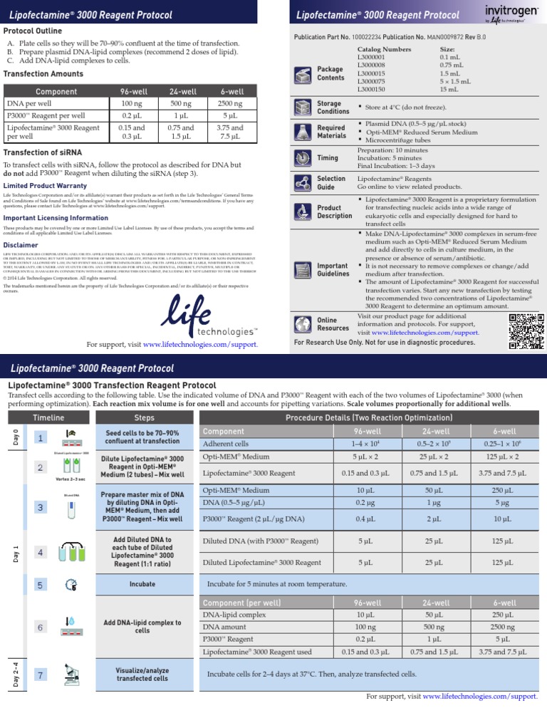 Lipofectamine3000 Protocol | PDF | Transfection | Molecular Biology