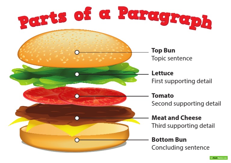 Essential Burger Components Explained | PDF